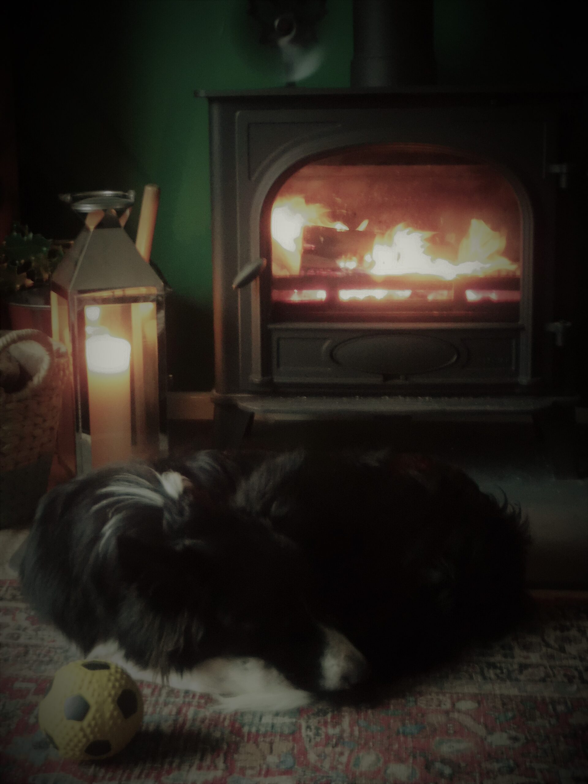 Cosy!"